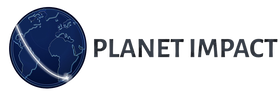 My professional experience as a Strategy and Innovation Consultant at Planet Impact Advisory ...